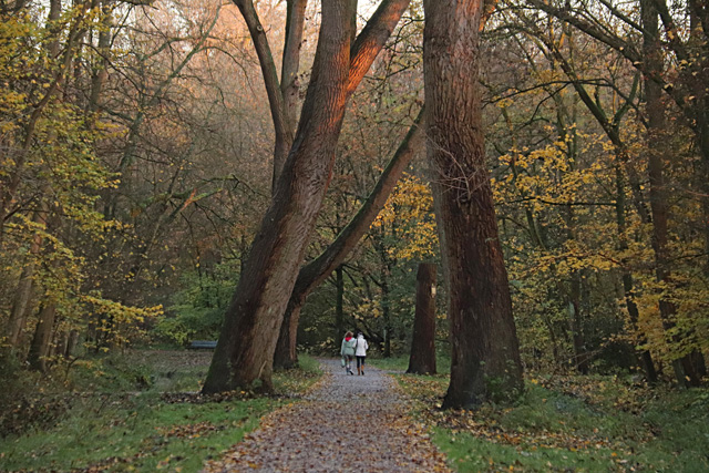 Kunst And Activiteiten Tuinpark Buitenzorg 🌺 A Dam